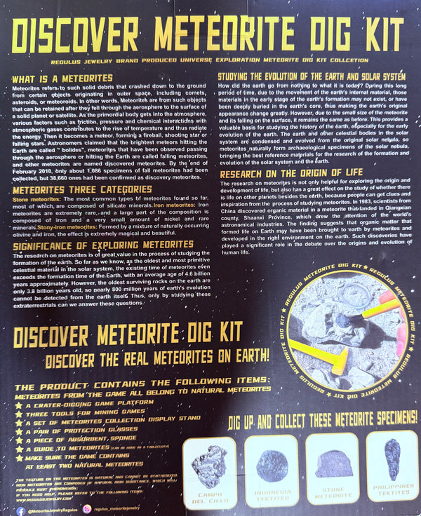 Meteorite Dig Kit – CrystalCaveIndia